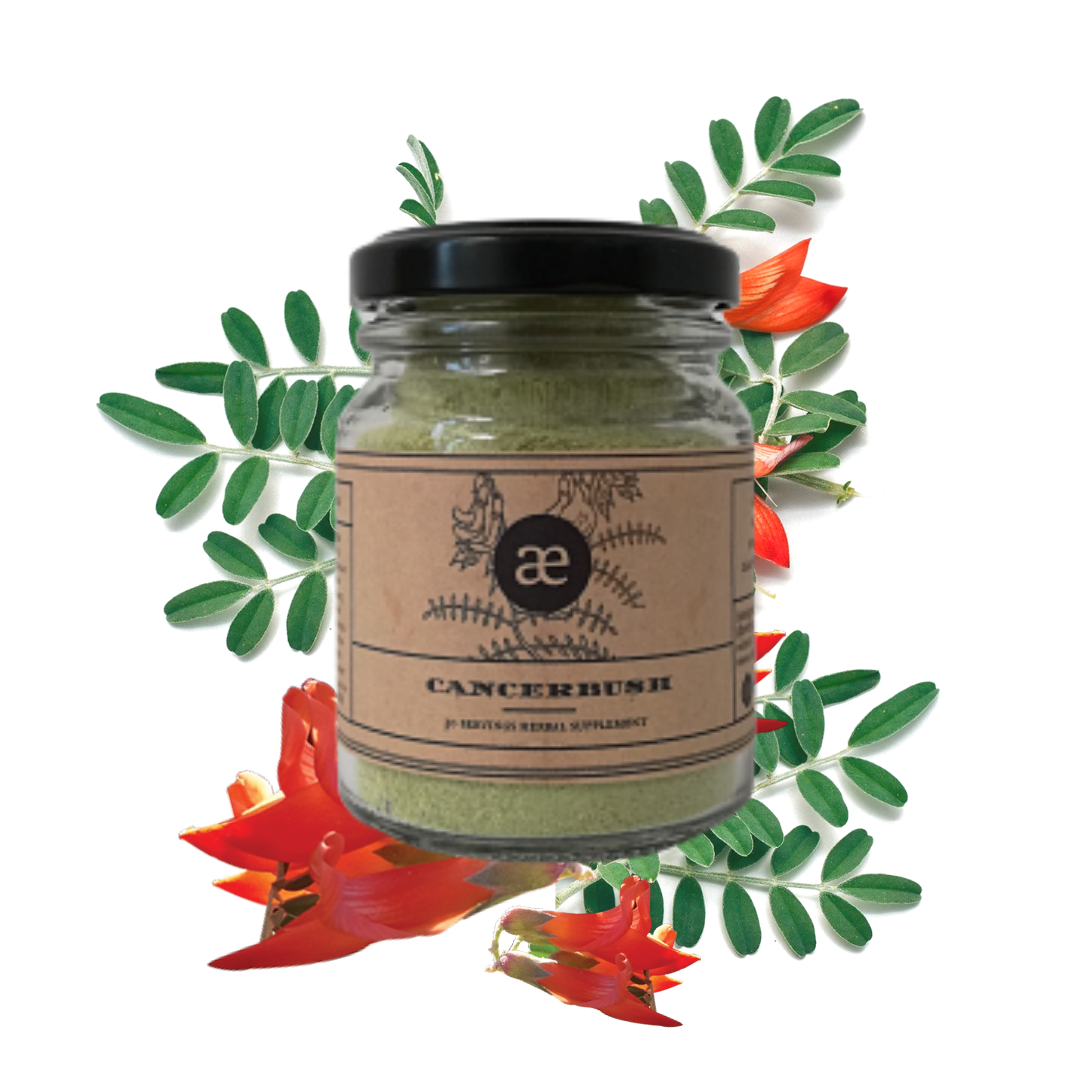 Aether Cancer Bush Powder – Cosmic Bazaar