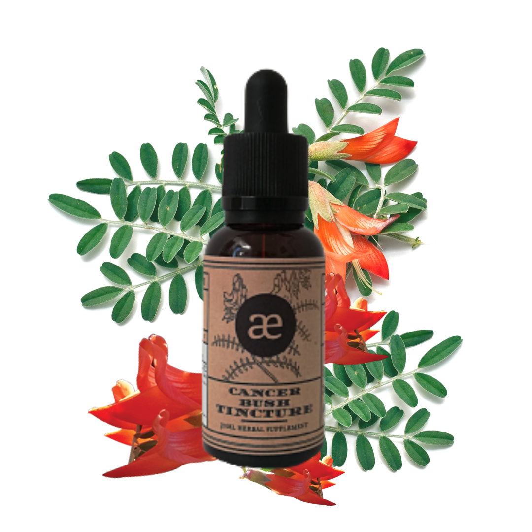 Cancer bush / Sutherlandia Tincture | Aether Apothecary – Cosmic Bazaar