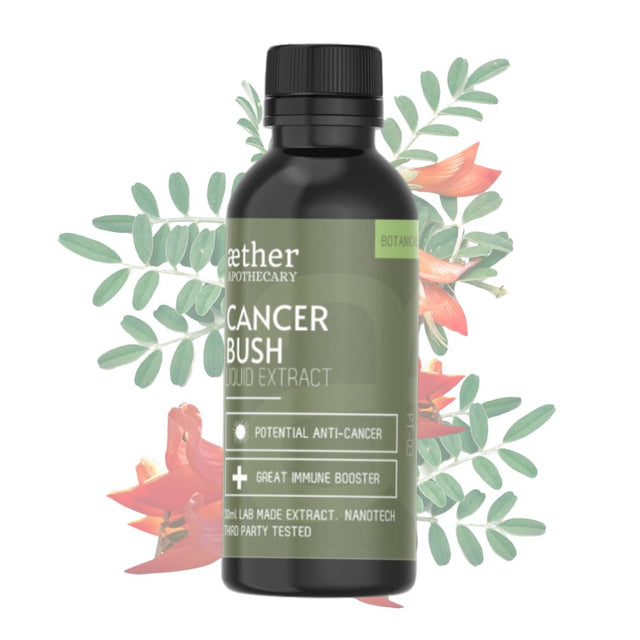 Cancer bush / Sutherlandia Tincture | Aether Apothecary – Cosmic Bazaar
